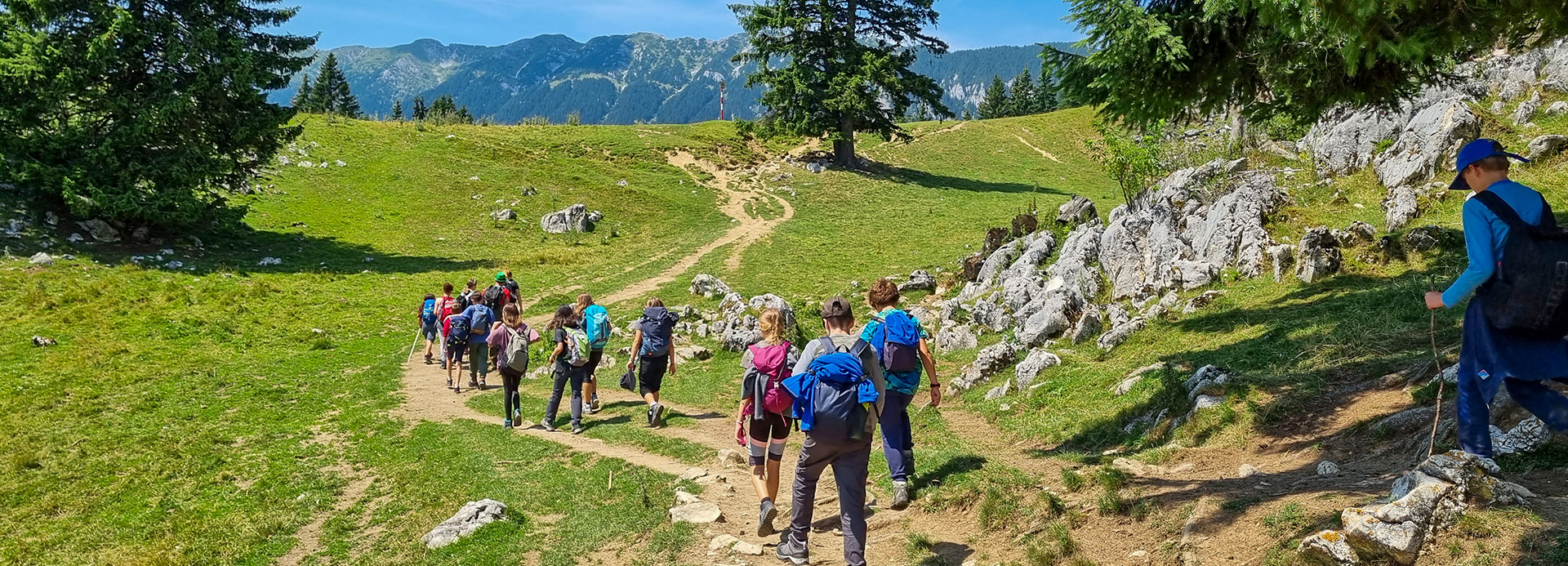 Tabără de vară multisport pentru copii și adolescenți 2026 Brașov